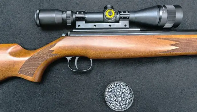 The Absolute Best Air Rifle for Rabbits: Hop On Board – Aboblist